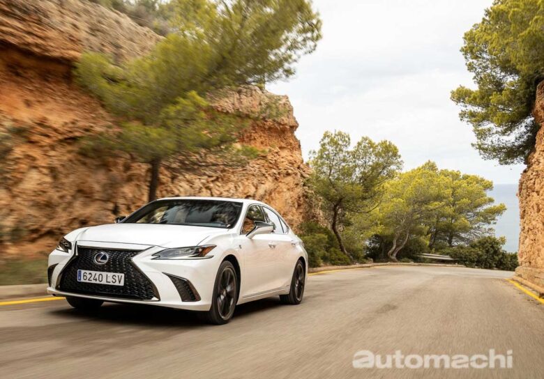 Lexus 15 - automachi.com