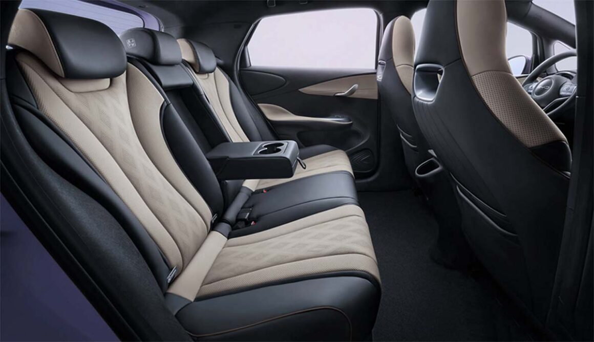 BYD-Dolphin-Brown-Black-Interior-Thailand - automachi.com